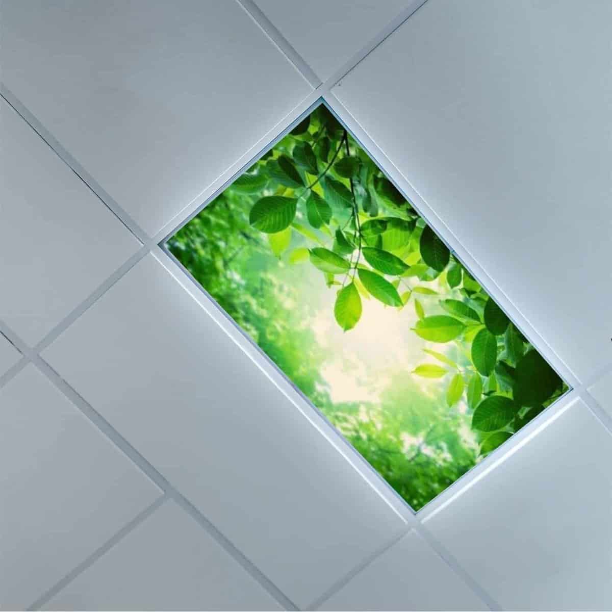 Lighting For An Office With No Windows - capitalimprovement.org